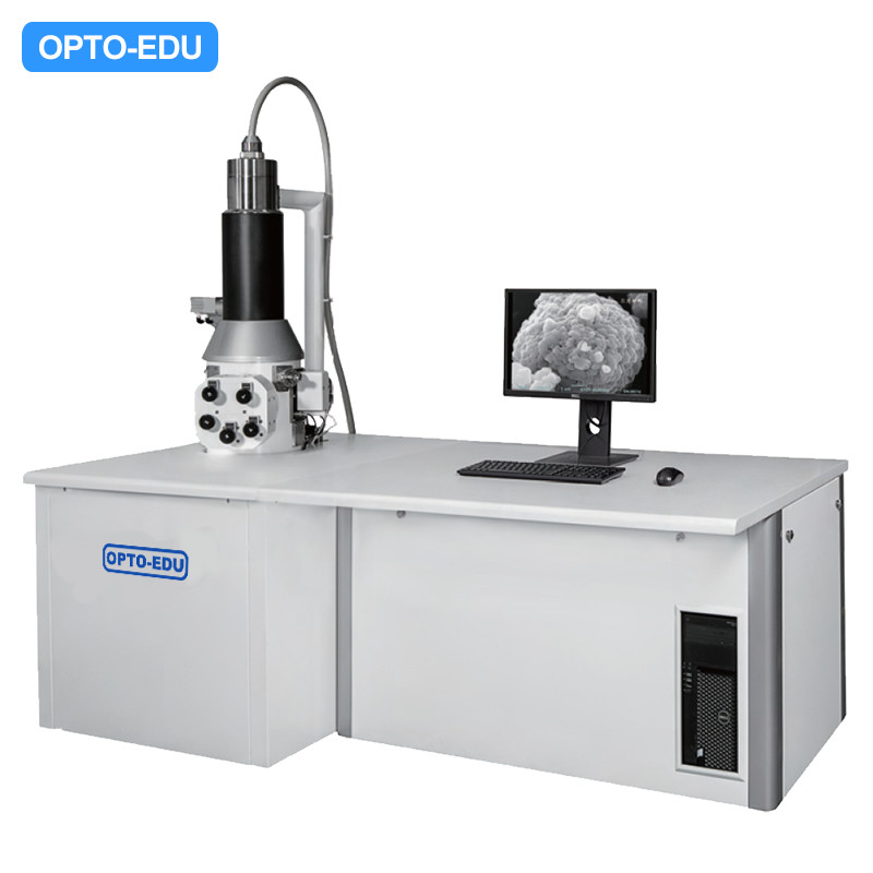 Cinco hachas efectúan el laboratorio del microscopio electrónico de ...