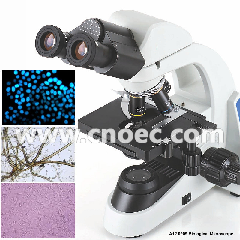 Microscopios ópticos binoculares A12.0909 de la iluminación del ...
