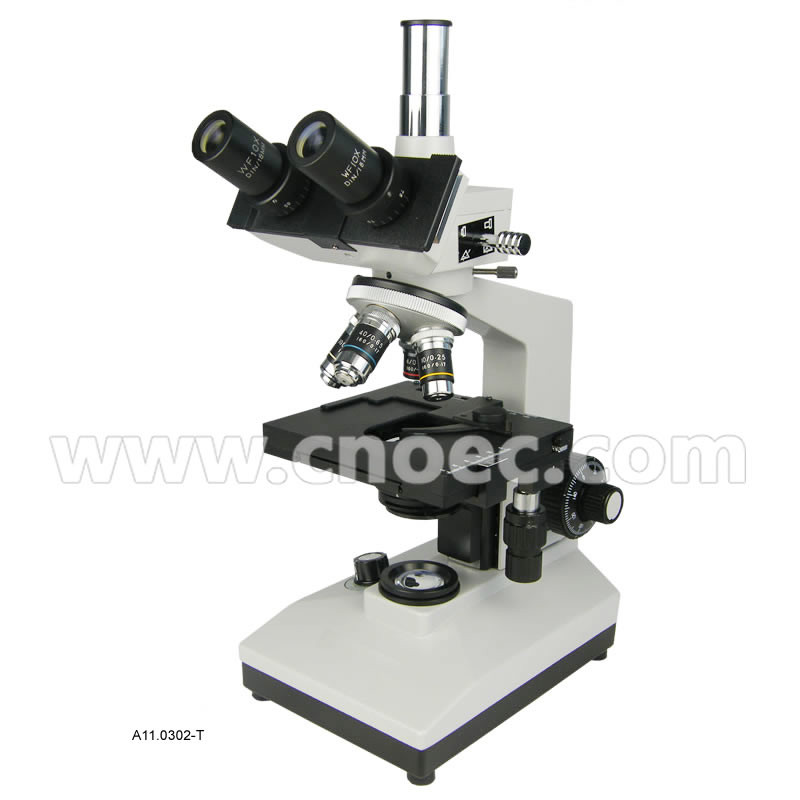 Microscopio biológico de la lámpara del halógeno binocular/microscopios ...